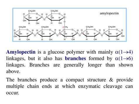 Carbohydrates Dr Gamal Gabr Ppt Download