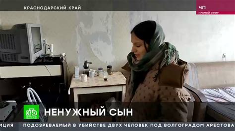 Чрезвычайное происшествие передача 2025 год криминальные Россия смотреть в Hd качестве русское