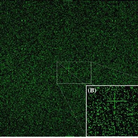 Scanned Image Of A High Density Mas Oligonucleotide Tiling Microarray