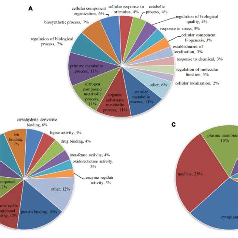 Gene Ontology Go Functional Annotation Of The Identified Download Scientific Diagram