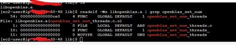 Openblassetnumthreads Not Found · Issue 3881 · Openmathlibopenblas