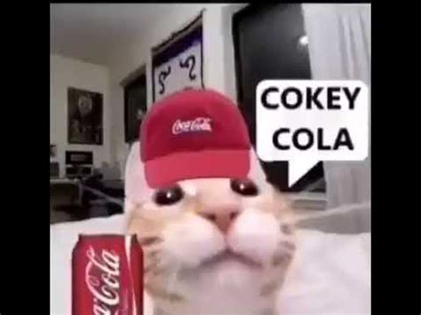Cat Every Soda Tiktok Meme Cockey Cola Shorts Youtube