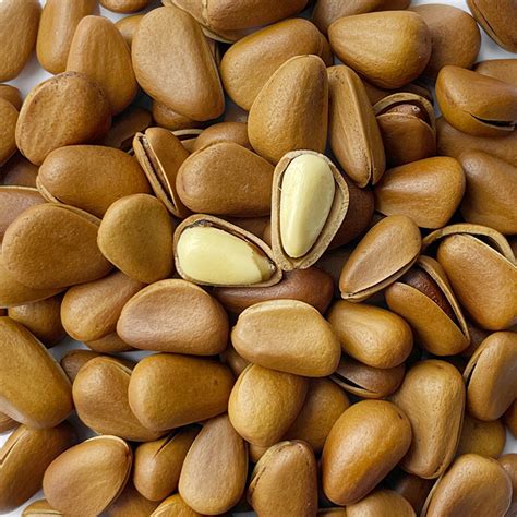 Pine Nuts Inshell Misocio Nuts And Dried Fruits Supplier