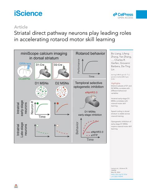 Pdf Striatal Direct Pathway Neurons Play Leading Roles In Accelerating Rotarod Motor Skill