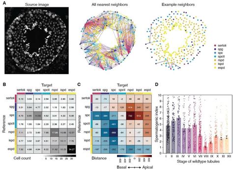 higher order statistical analysis of an independent wildtype dataset download scientific