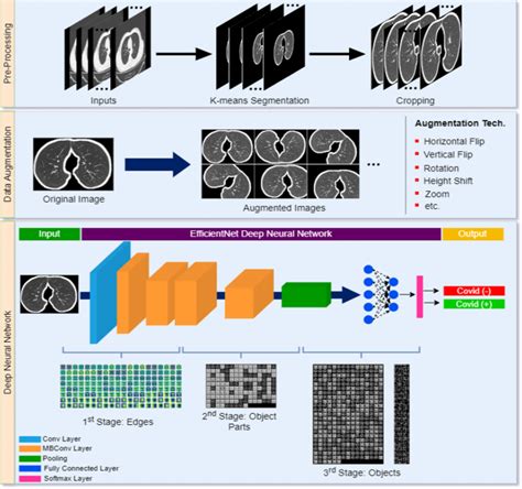使用肺实质进行 Covid 19 检测的 Efficientnet 模型评估neural Computing And