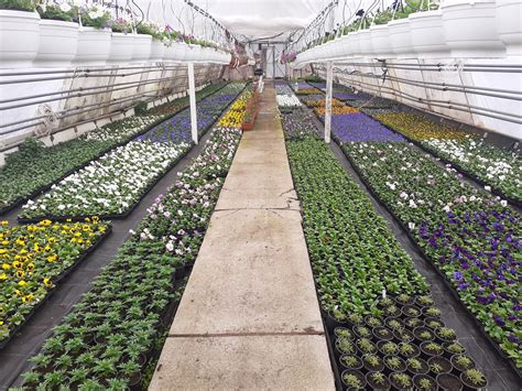 Cool And Classy Cool And Classy Added A New Photo