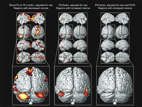 Structure Function Relationship Left A Composite Representation Of