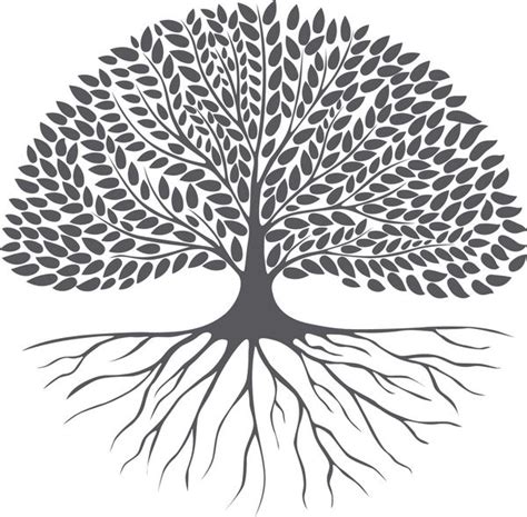 درخت کامل سیاه و سفید با ریشه های جدا شده وکتور پس زمینه سفید 1077210