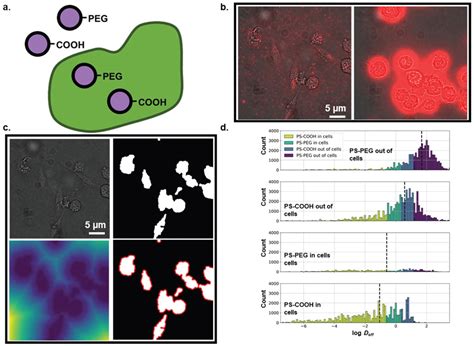 predicting in situ nanoparticle behavior using multiple particle tracking and artificial neural
