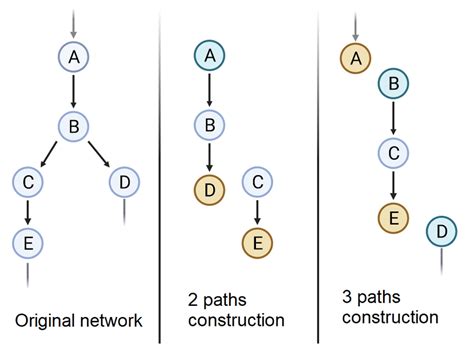 Two Examples Of Metabolic Pathways That Can Be Constructed From A