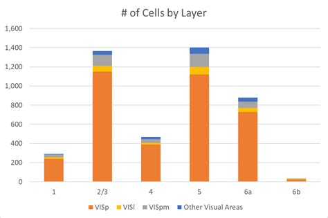 Multimodal Characterization In Mouse Visual Cortex Brain