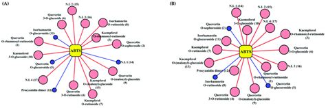 Visualization Of The Correlation Networks Between The Identified Download Scientific Diagram