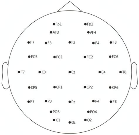 Enhancing Eeg Based Emotion Detection With Hybrid Models Insights From