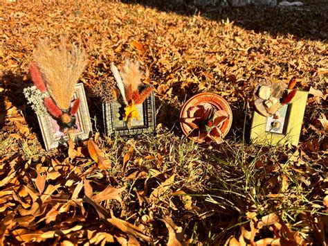 Turtle Vertebrae Frame Etsy