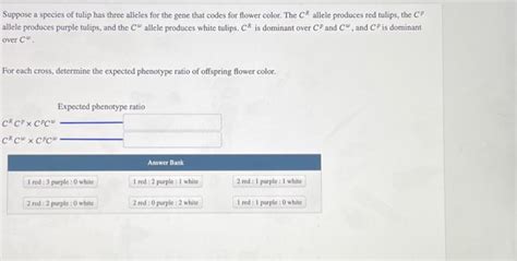Solved Suppose A Species Of Tulip Has Three Alleles For The Chegg Com
