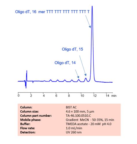 Hplc Method For Analysis Of Oligo Dt 16 Mer On Bist A Column Sielc Technologies