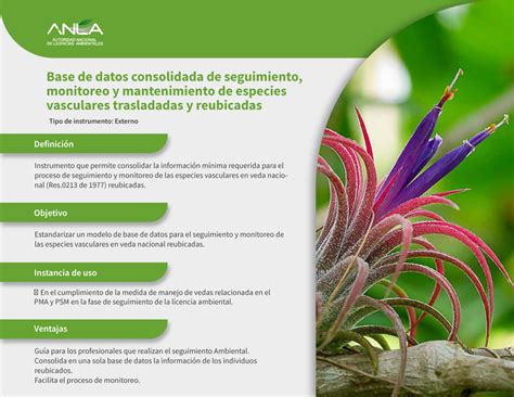 Modelo De Base De Datos Consolidada De Seguimiento Monitoreo Y