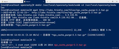 Openresty编译安装 Csdn博客