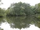 Reflections On A Day At Brandon Marsh Nature Reserve Enviro Mentalist
