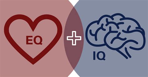 Eq Vs Iq Which One Is More Beneficial