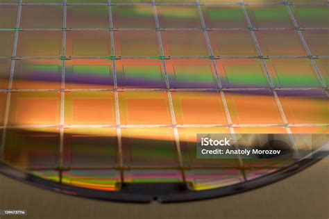 실리콘 웨이퍼 및 마이크로 회로 웨이퍼는 집적 회로의 제조를 위해 전자 장치에 사용되는 결정질 실리콘과 같은 반도체 재료의 얇은 조각입니다 0명에 대한 스톡 사진 및 기타