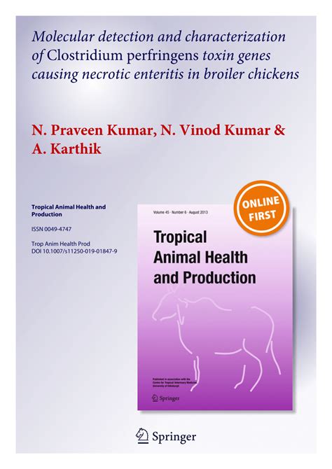 Pdf Molecular Detection And Characterization Of Clostridium Perfringens Toxin Genes Causing