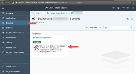Sap Api Management Rate Limiting Api Calls Per A Sap Community