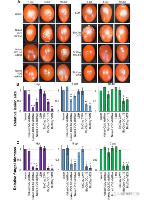 Jipb 金海翎团队研究揭示延长作物对病原菌抗性的rna干扰方法！ 知乎