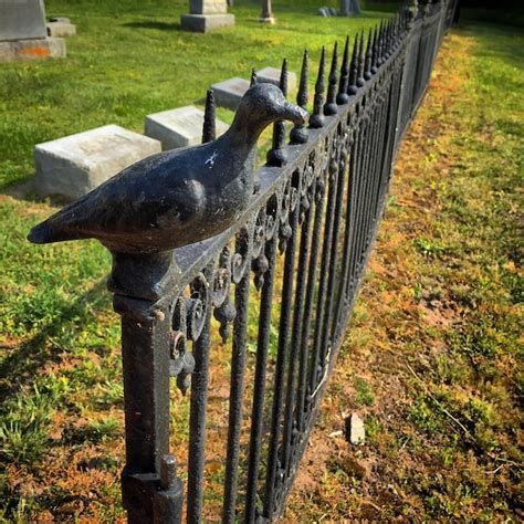 Premium Photo View Of Grassy Field
