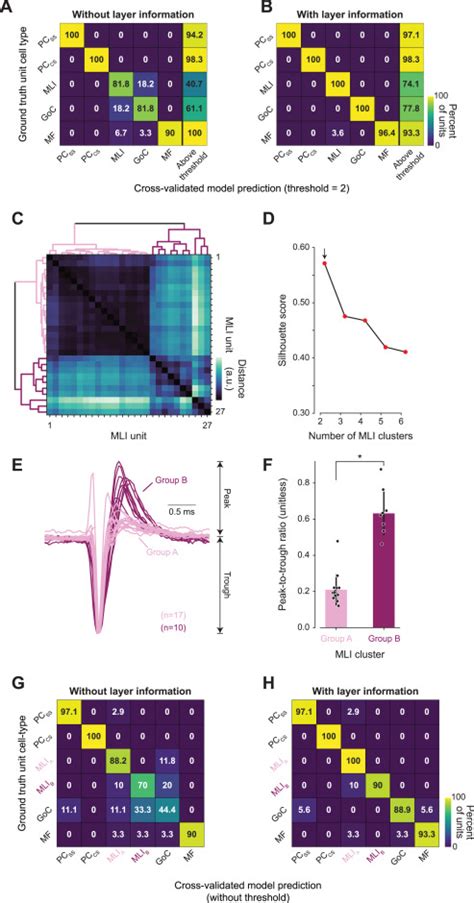 A Deep Learning Strategy To Identify Cell Types Across Species From High Density Extracellular