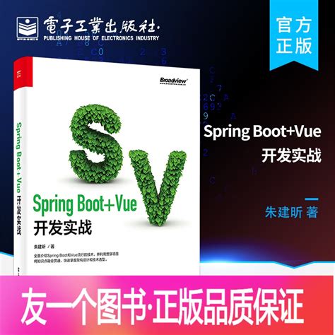 正版】 Spring Bootvue开发实战 Spring Boot和vue分析源码剖析原理前后端技术 Sprig》朱建昕著【摘要 书评