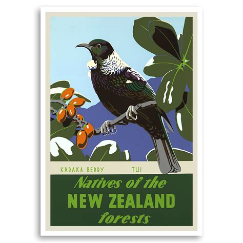 Karaka Berry And Tui Natives Of The New Zealand Forests Print Shed