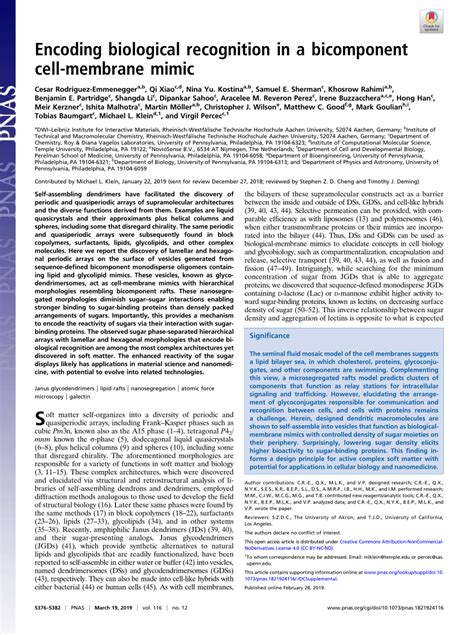 Pdf Encoding Biological Recognition In A Bicomponent Cell Membrane Mimic