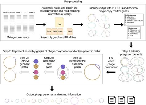 Phables Advancing Phage Research For A Healthier Future Targeting Phage Therapy Congress