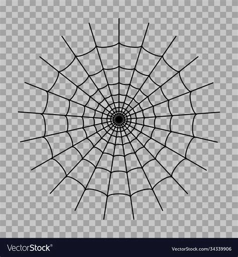 Spider Web Concept Royalty Free Vector Image Vectorstock
