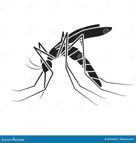 Mosquito Vector Illustration Labeled Insects Species With Malaria
