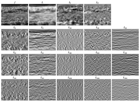 Spatio Temporal Receptive Field Responses Underlying The Strf N Jet Download Scientific Diagram