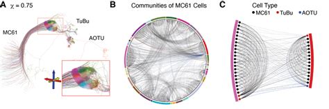 A Clustering at χ 0 75 reveals a distinct spatial tiling pattern in