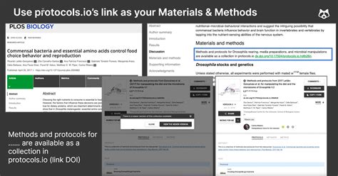 How To Make Your Protocols Complete Interactive And Citable Becker