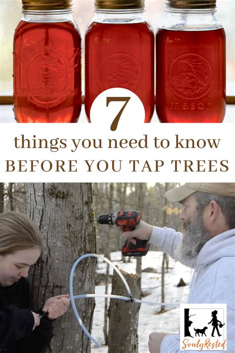 Make Your Own Maple Syrup Part 2 Artofit