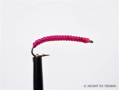 Rock Worm — Ascent Fly Fishing