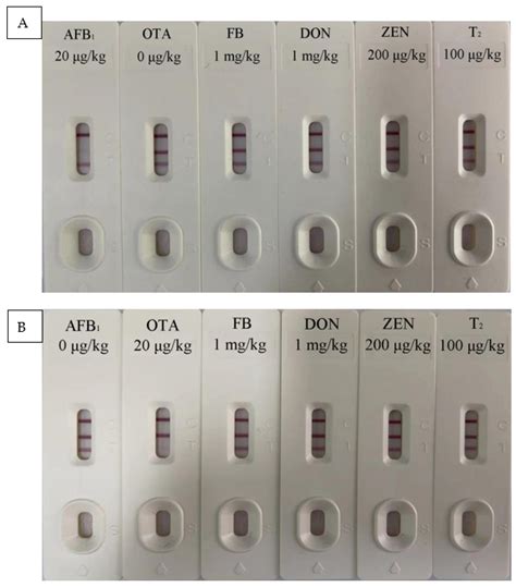 Simultaneous Rapid Detection Of Aflatoxin B1 And Ochratoxin A In Spices Using Lateral Flow