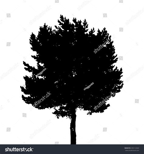 Silhouette Isolated On White Background Vector Stock Vector Royalty Free 305112443 Shutterstock