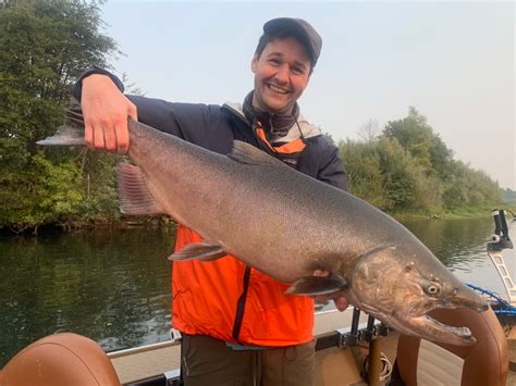 Sacramento River Fish Report Sacramento River King Salmon
