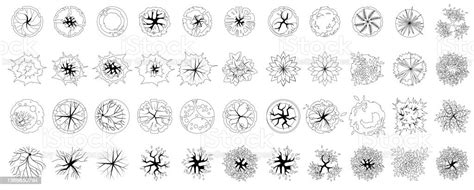 나무와 식물 최고 보기 건축 및 조경 디자인을위한 무색 나무와 잔디의 아이콘 세트 흰색으로 격리된 흑백 그래픽 벡터 그림입니다 설계 프로젝트를 위한 요소 공중 뷰에 대한