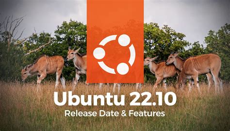 meet the 12 ubuntu 14 10 wallpaper contest winners omg ubuntu