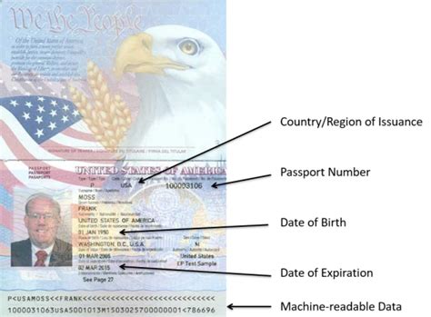 Where Is The Document Number On A Passport Card