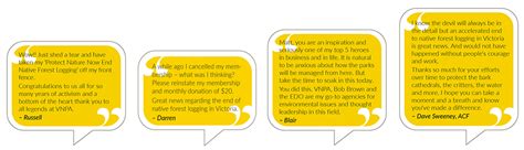 End Of Native Forest Logging A Victory For Nature Victorian National Parks