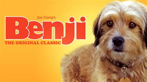 Benji Film 1974 Moviebreakde